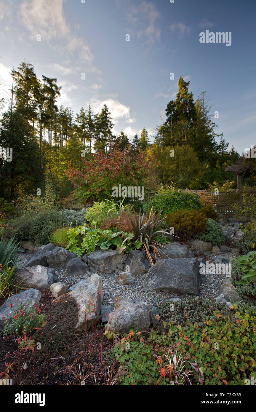 Dry stream bed Stock Photo - Alamy
