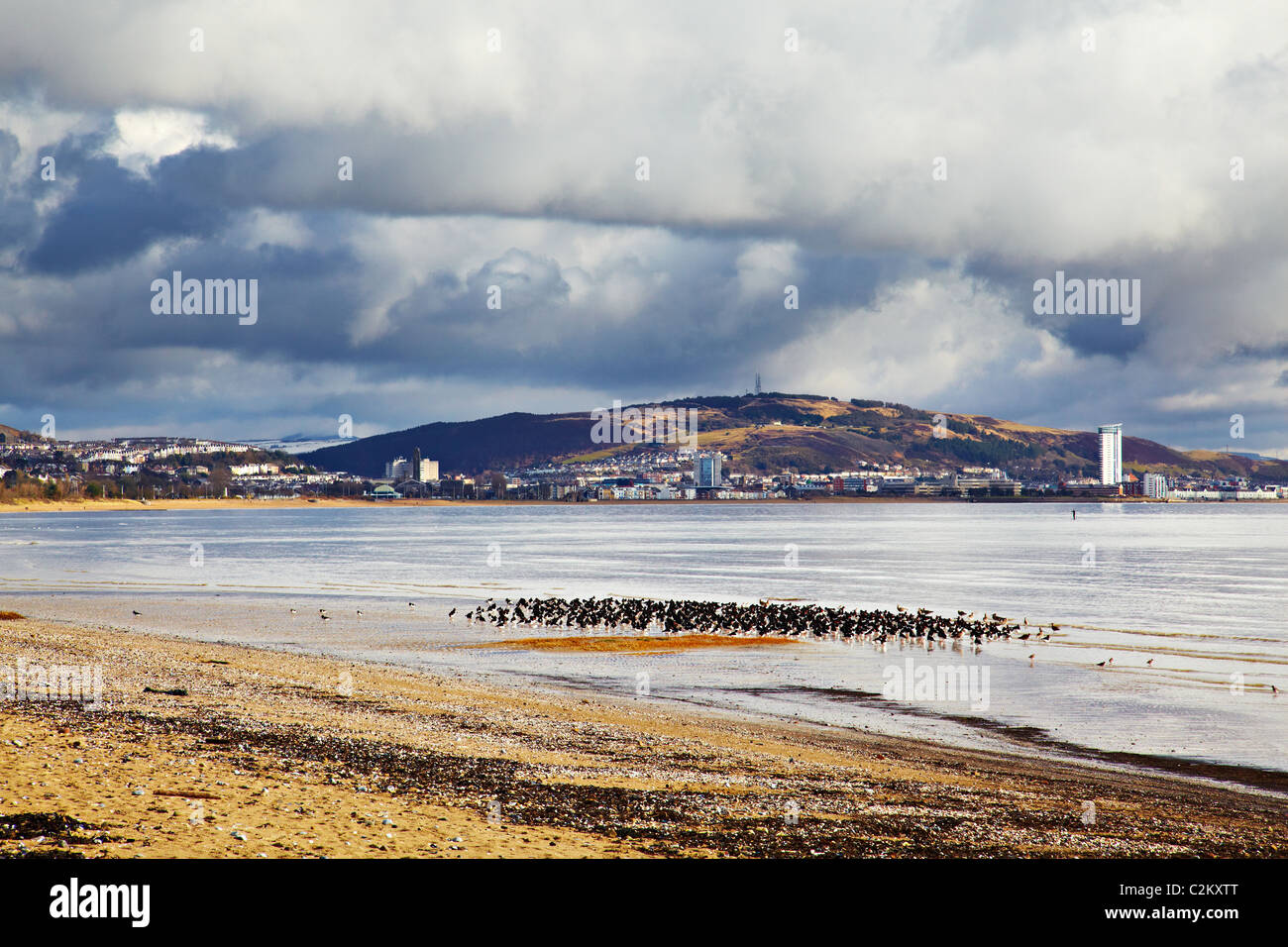 Swansea Bay, Swansea, Wales Stock Photo - Alamy