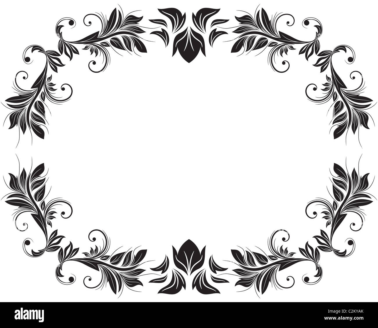 Free Download Vector Floral Border