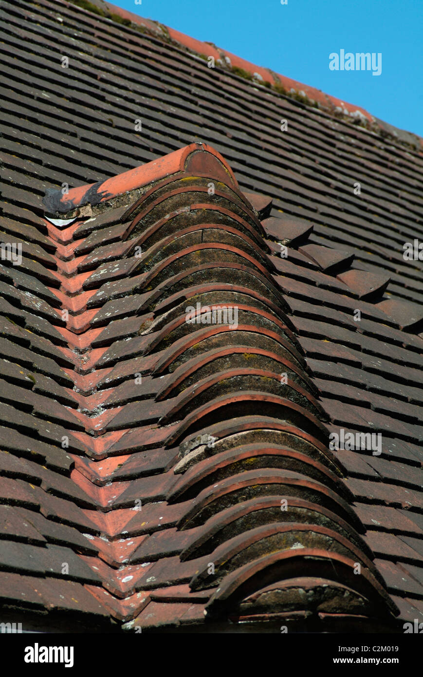 Hip tiles hi-res stock photography and images - Alamy