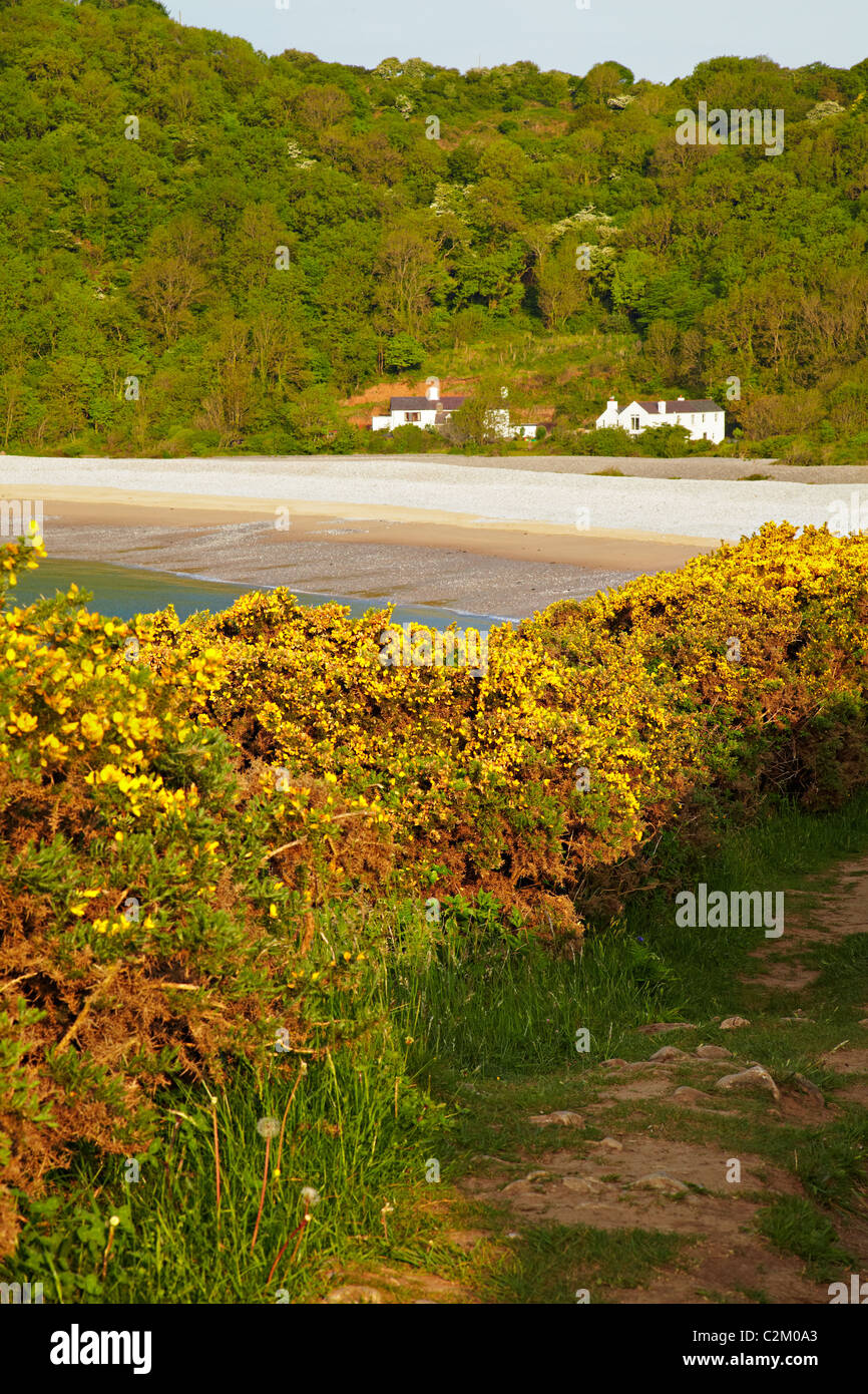 Gower Wales House High Resolution Stock Photography and Images - Alamy