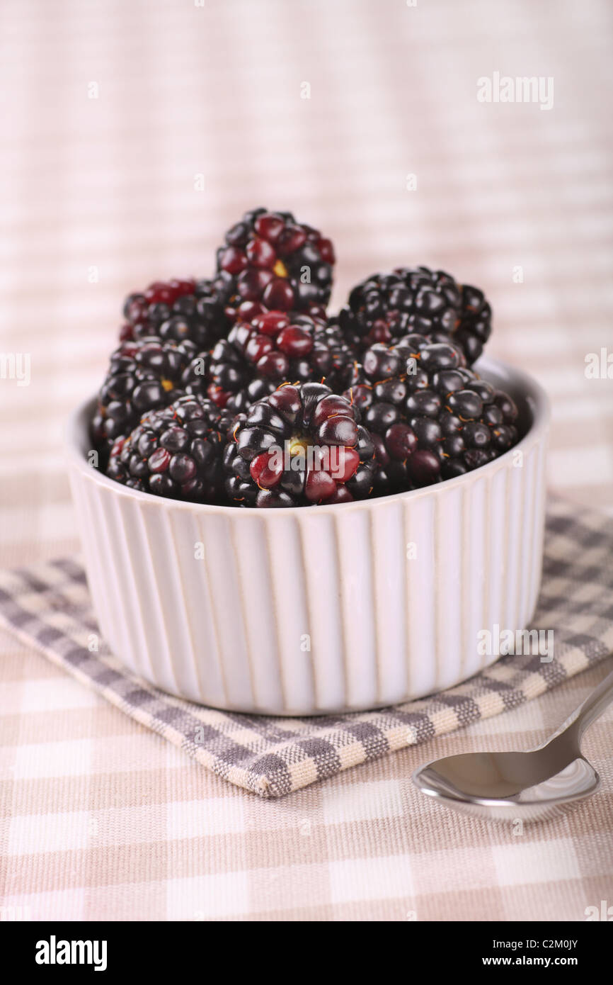 freshly picked ripe blackberries , ready to eat Stock Photo - Alamy