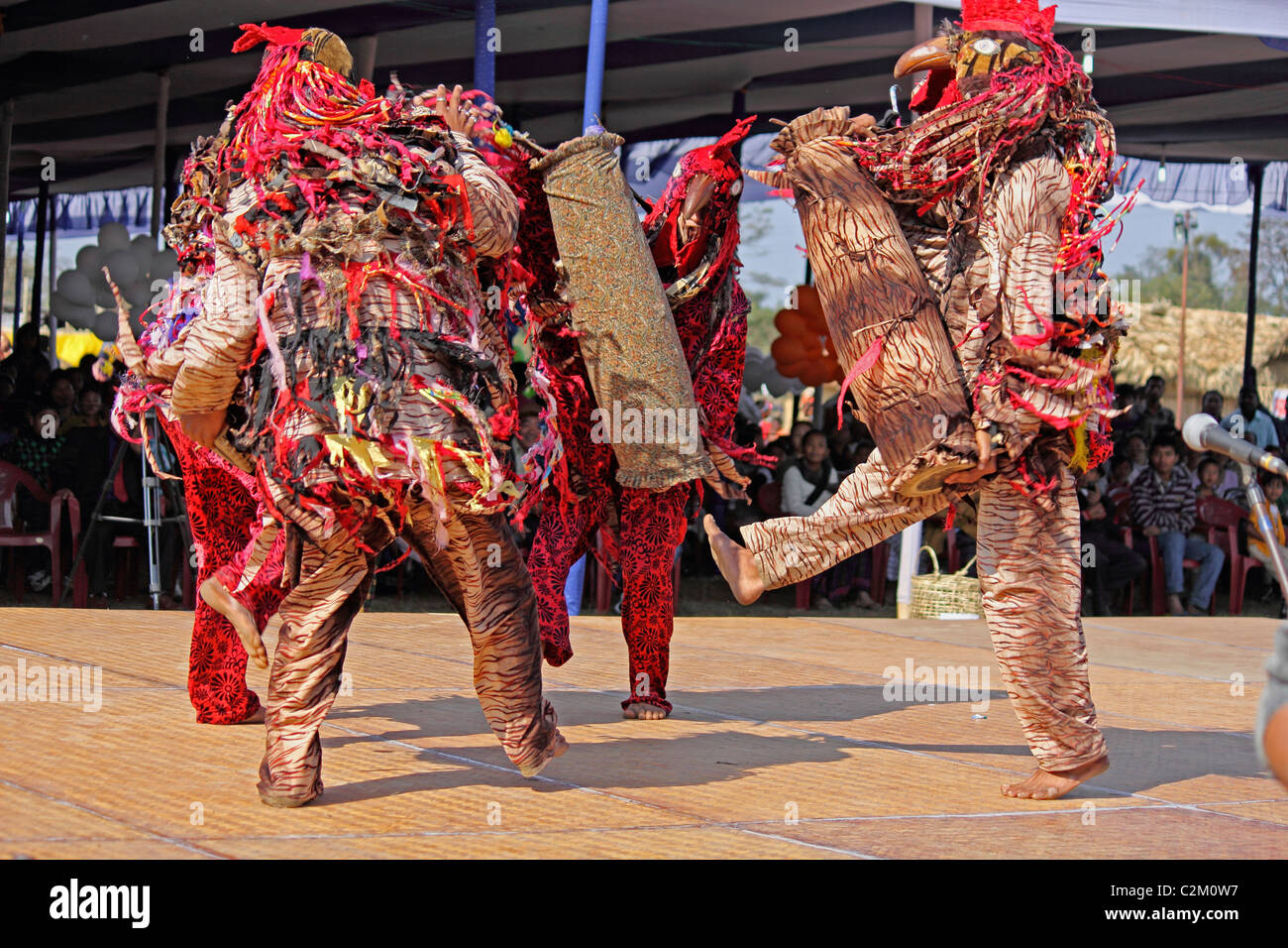 Khamti, Khampti Tribes performing Traditional Cock Dance at Namdapha ...