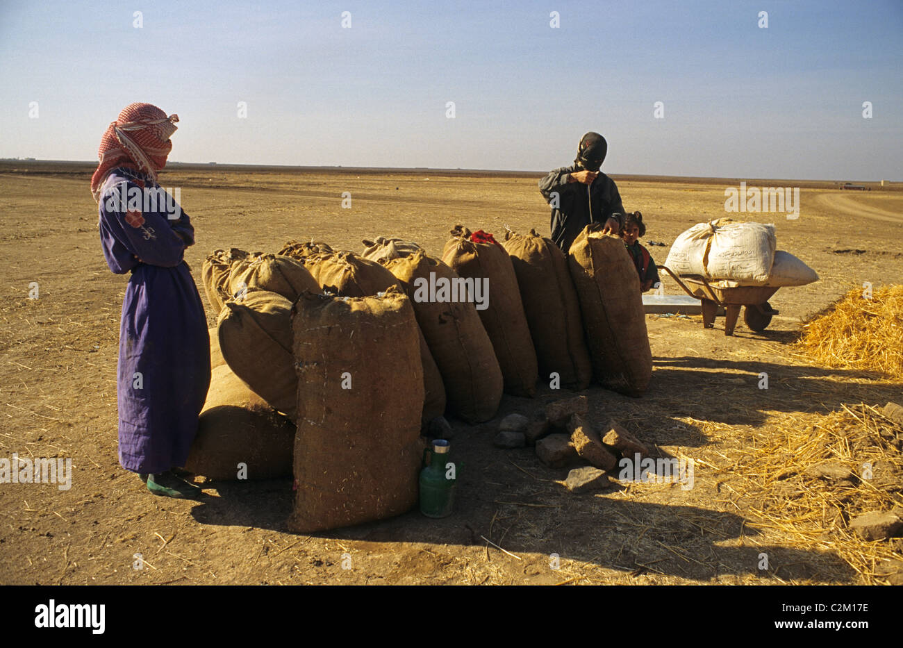 Syrian Kurdish farmers in villages near Qamishli, north west Syria ...