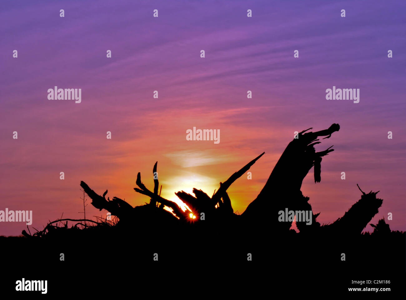 scenes sunsets, nature norfolk Stock Photo - Alamy