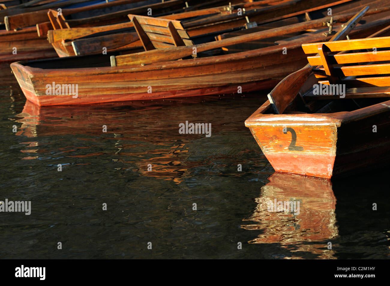 Rowing boats for rent at lakeshore Stock Photo - Alamy