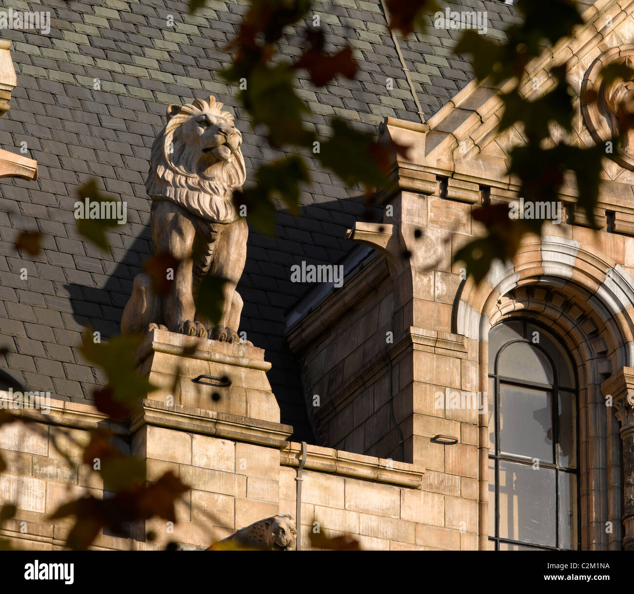 Chelsea History High Resolution Stock Photography and Images - Alamy