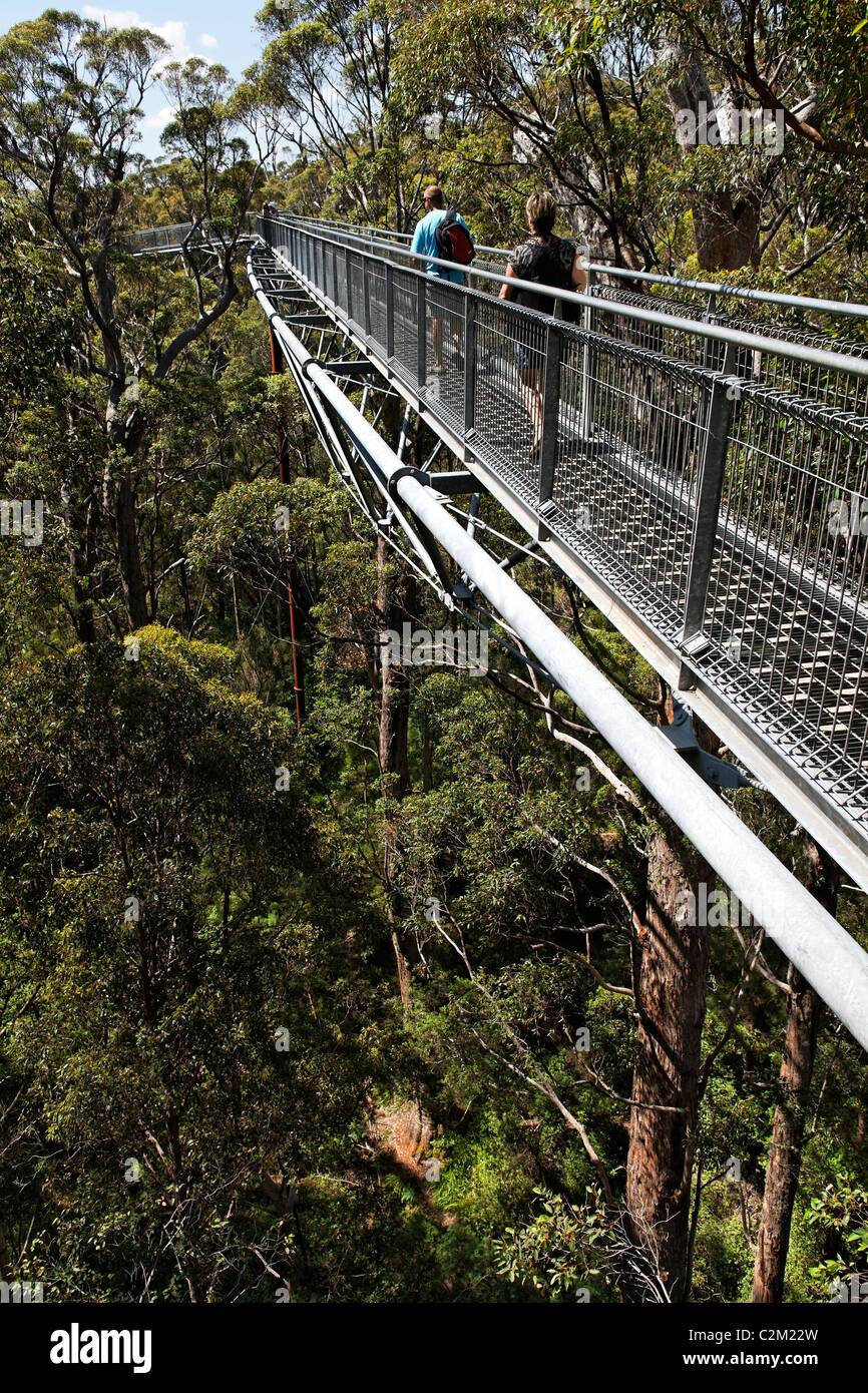 Valley of the Giants tree top walk, Walpole-Nornalup National Park ...