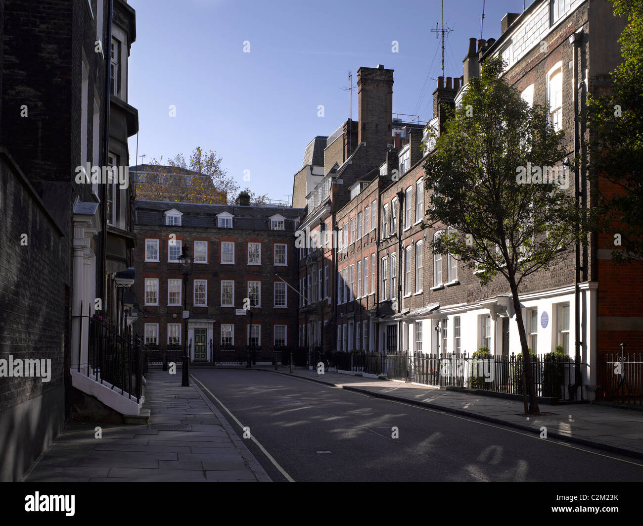 London Street Trees High Resolution Stock Photography and Images - Alamy