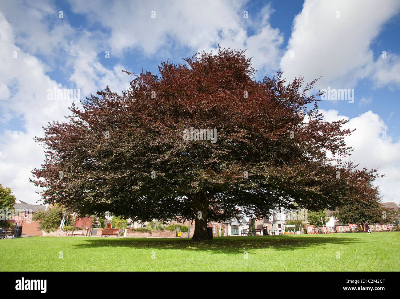 Cloud copper hi-res stock photography and images - Alamy