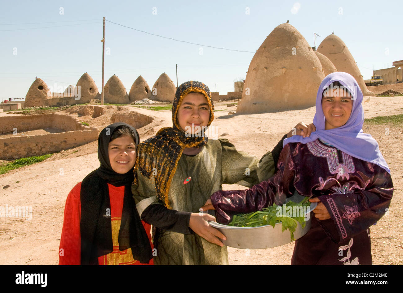 Syria desert Badiyat al Sham, farm sheep,culture, Bedouin Bedouins ...