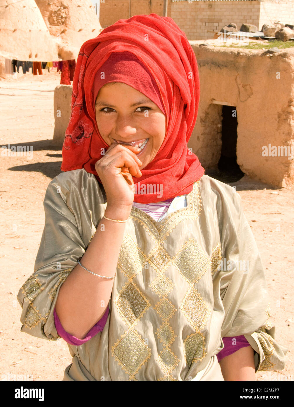 Syria desert Badiyat al Sham, farm sheep,culture, Bedouin Bedouins ...