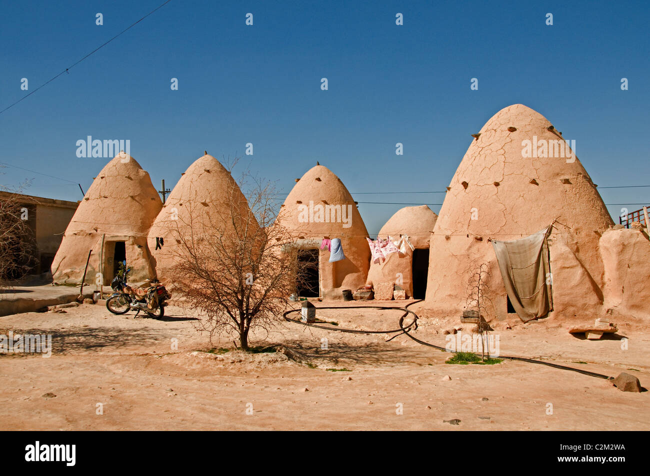 Syria desert Badiyat al Sham, farm sheep,culture, Bedouin Bedouins ...
