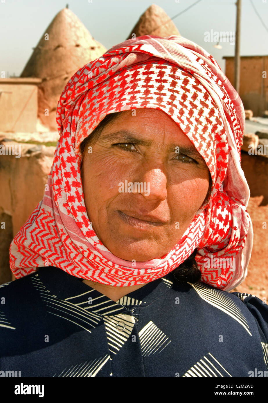 Syria desert Badiyat al Sham, farm sheep,culture, Bedouin Bedouins ...