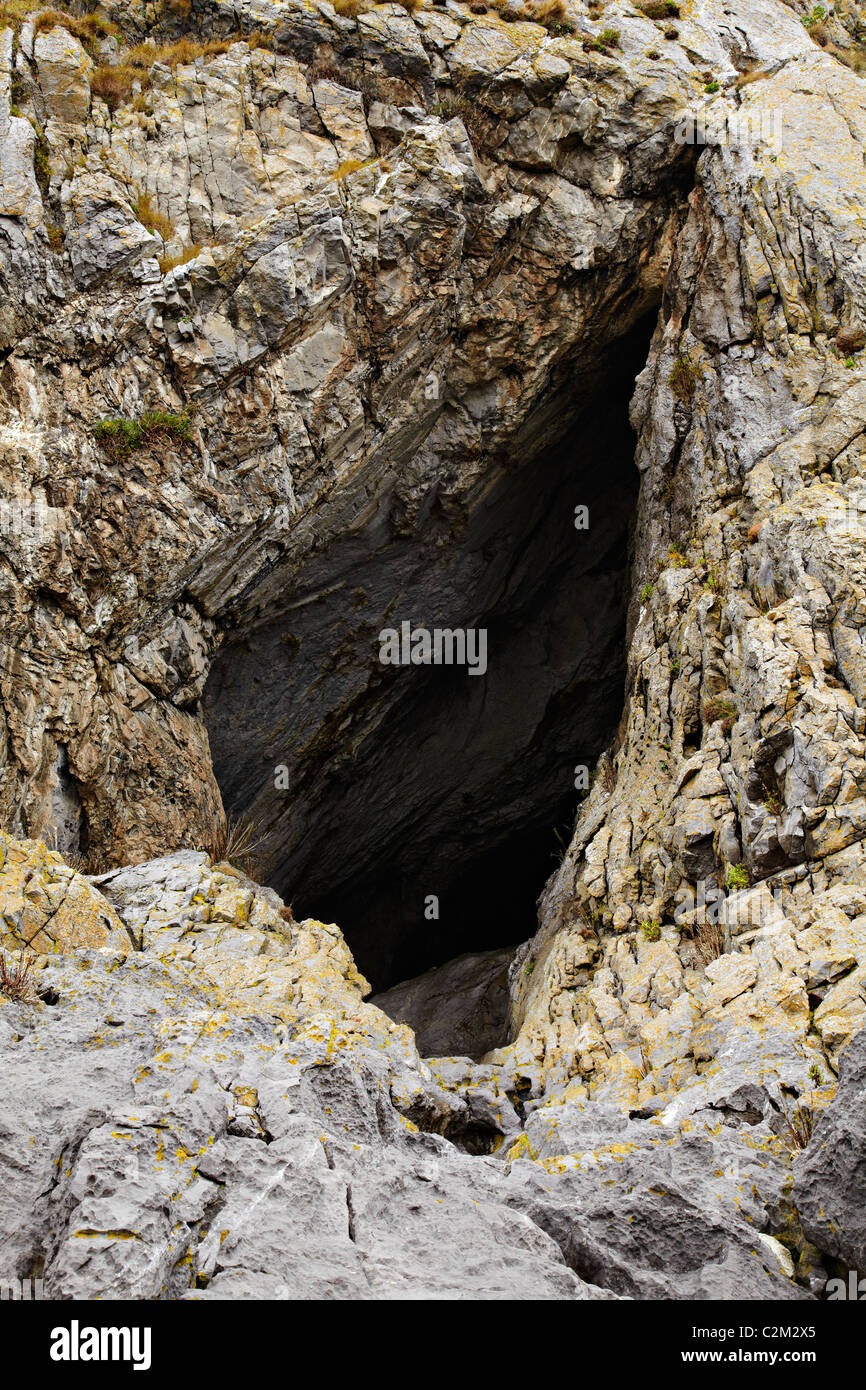 Paviland Cave / Goat's Hole Cave, Gower, Wales Stock Photo - Alamy