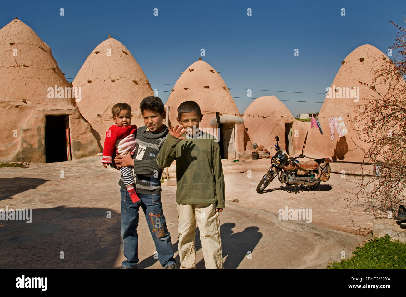 Syria desert Badiyat al Sham, farm sheep,culture, Bedouin Bedouins ...
