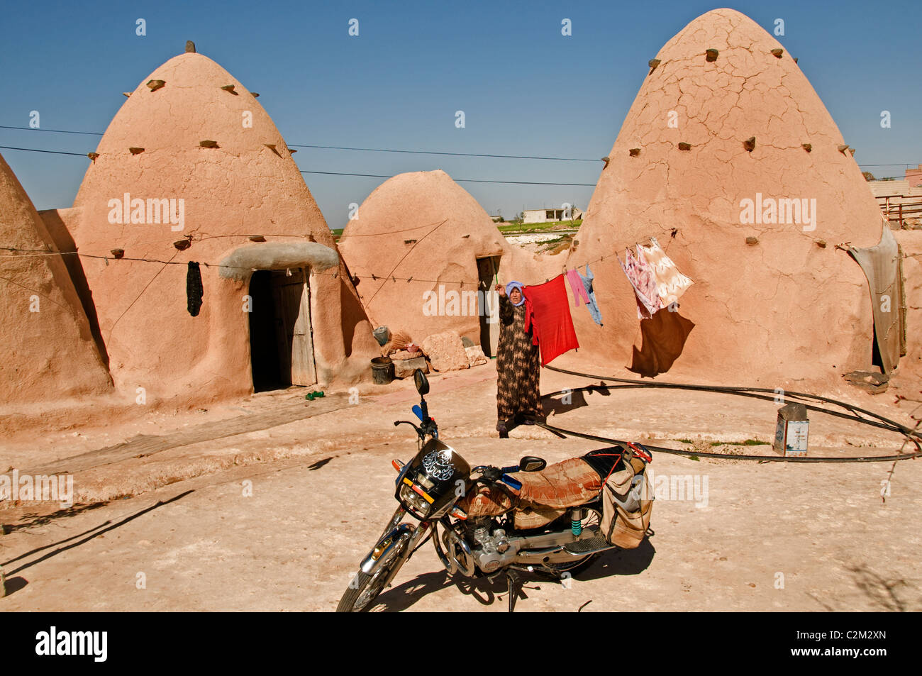 Syria desert Badiyat al Sham, farm sheep,culture, Bedouin Bedouins ...