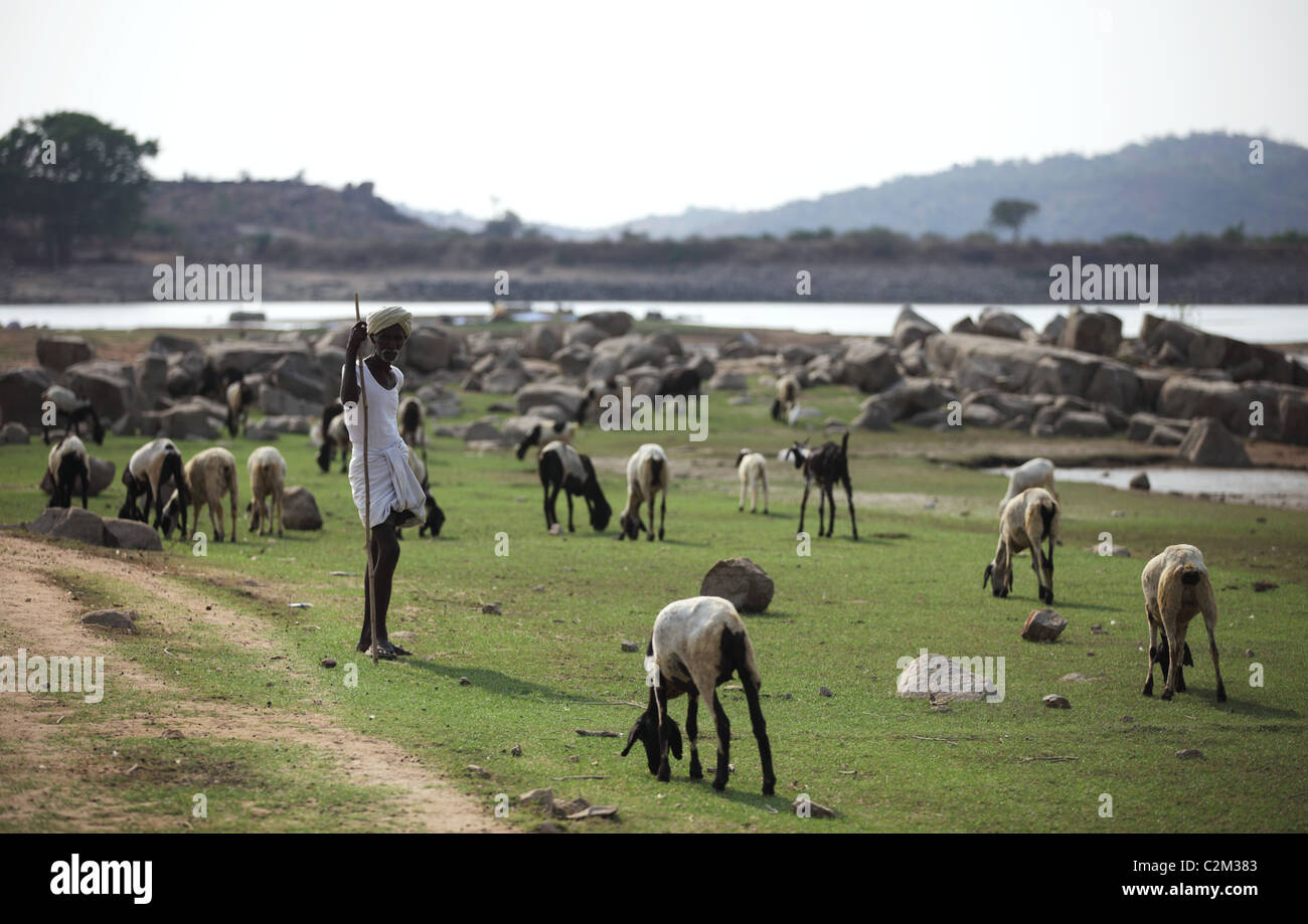 Shepherd sheep path hi-res stock photography and images - Alamy