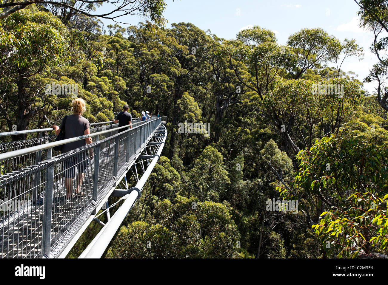 Tree top walk hi-res stock photography and images - Alamy