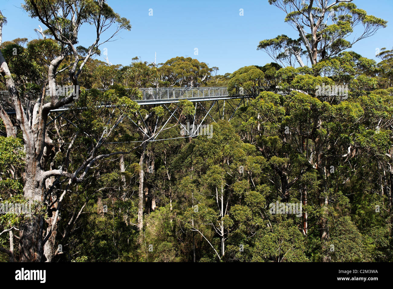 Tree top walk hi-res stock photography and images - Alamy