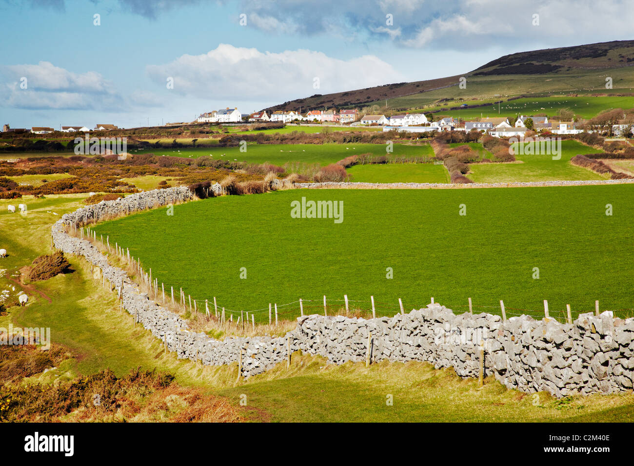 Gower coast path with Rhossili in the background, Wales Stock Photo - Alamy