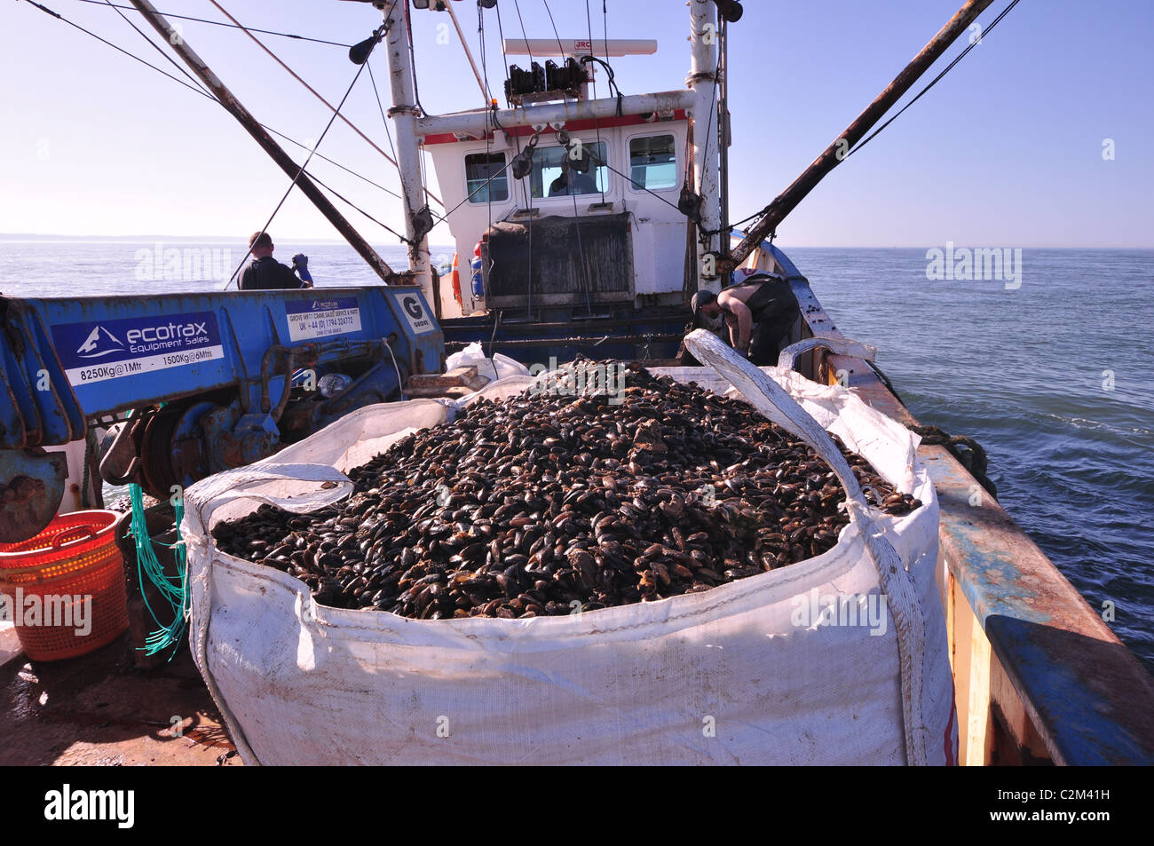 Bags Of Mussels High Resolution Stock Photography and Images - Alamy