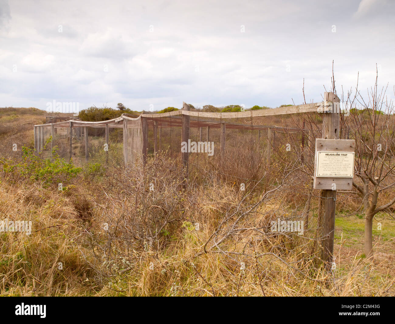 Spurn point bird observatory hi-res stock photography and images - Alamy