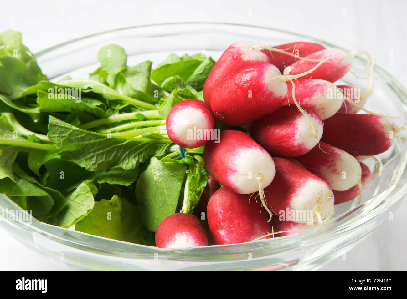 Bunch of Fresh British Radishes in a Glass Bowl Stock Photo - Alamy