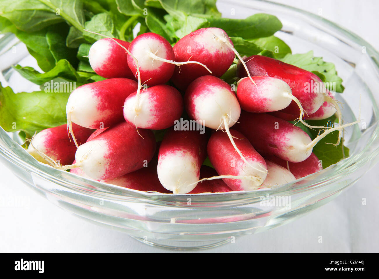 Bunch of Fresh British Radishes in a Glass Bowl Stock Photo - Alamy