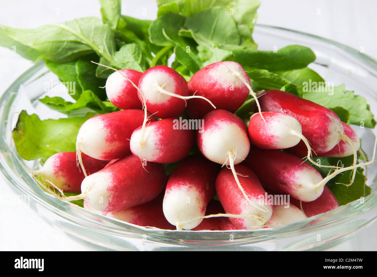 Bunch of Fresh British Radishes in a Glass Bowl Stock Photo - Alamy