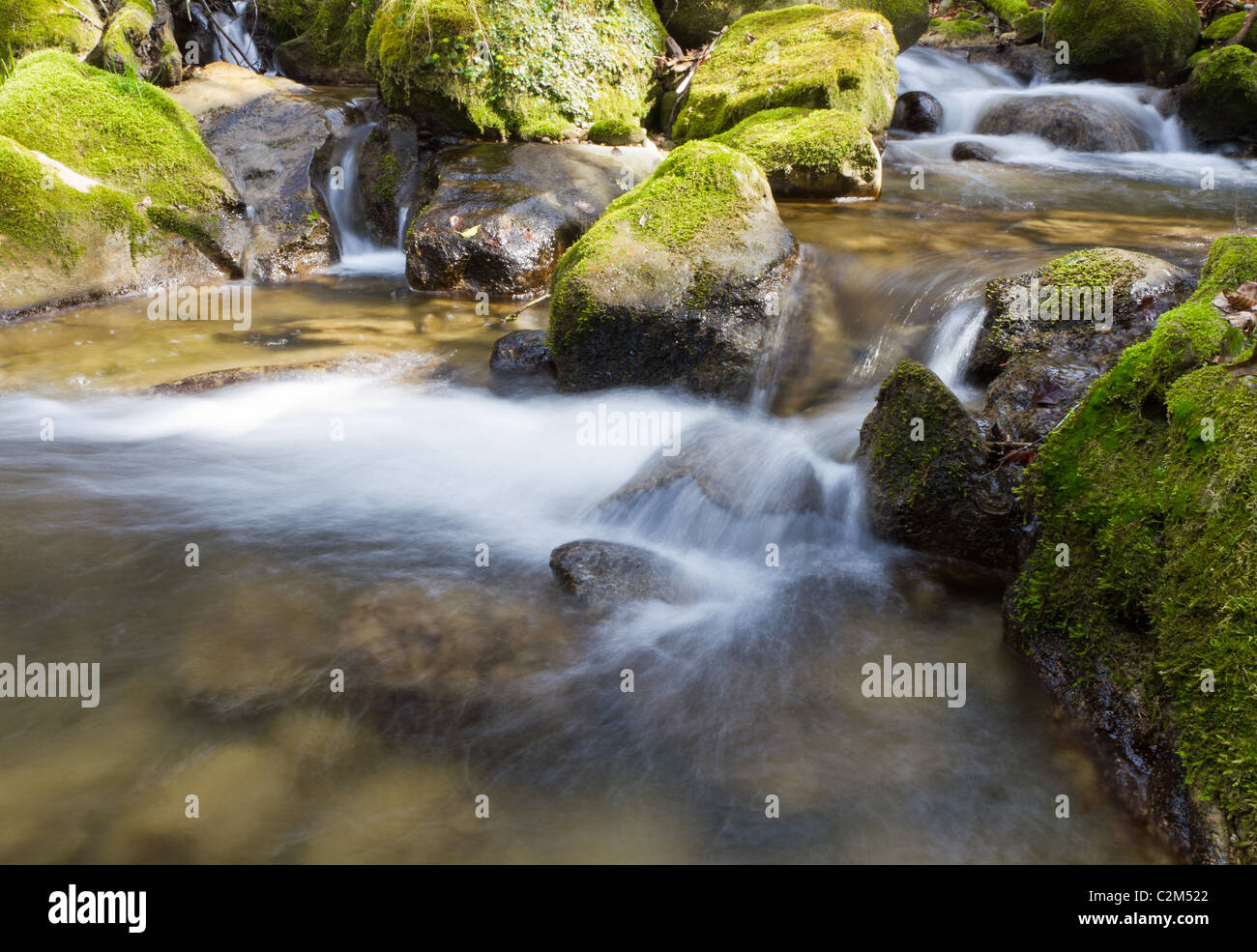 small forest stream splashing over moss covered stones, long exposure ...