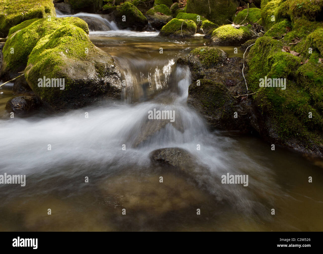 small forest stream splashing over moss covered stones, long exposure ...