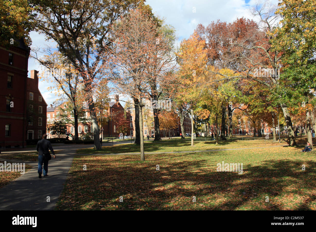 HARVARD YARD CAMBRIDGE USA 31 October 2010 Stock Photo - Alamy