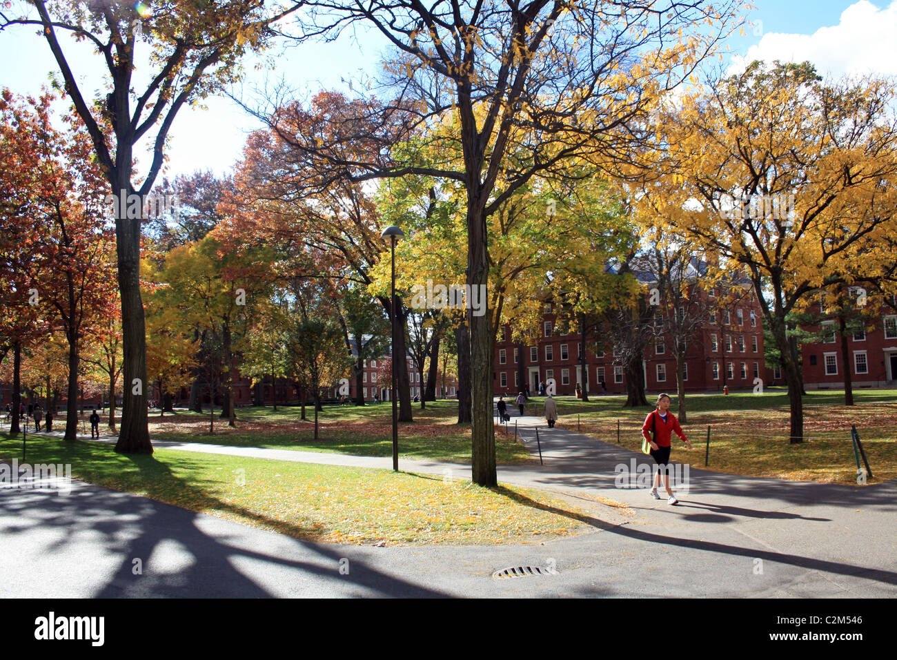 Harvard yard hi-res stock photography and images - Alamy