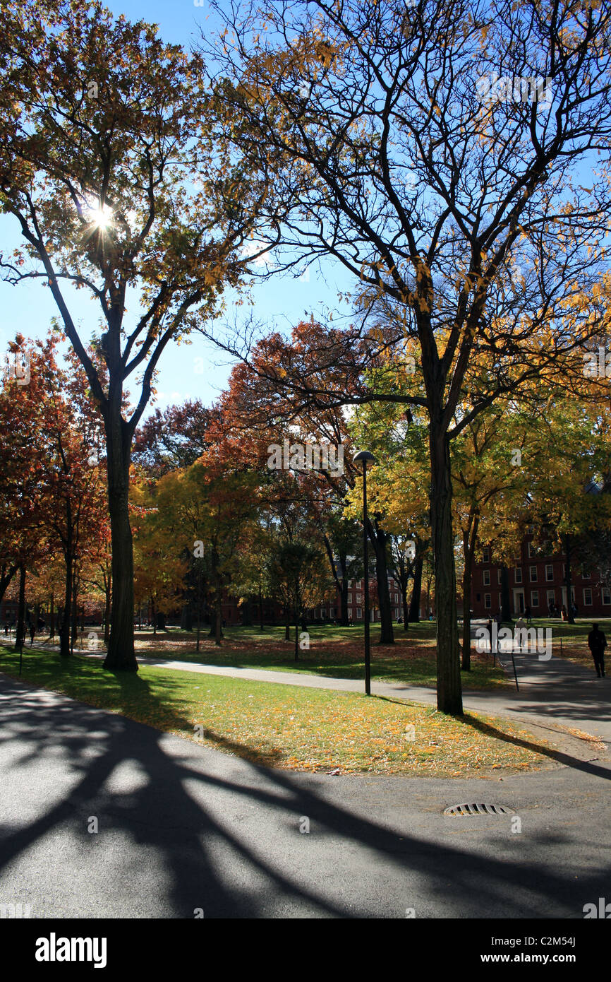Harvard university campus hi-res stock photography and images - Alamy