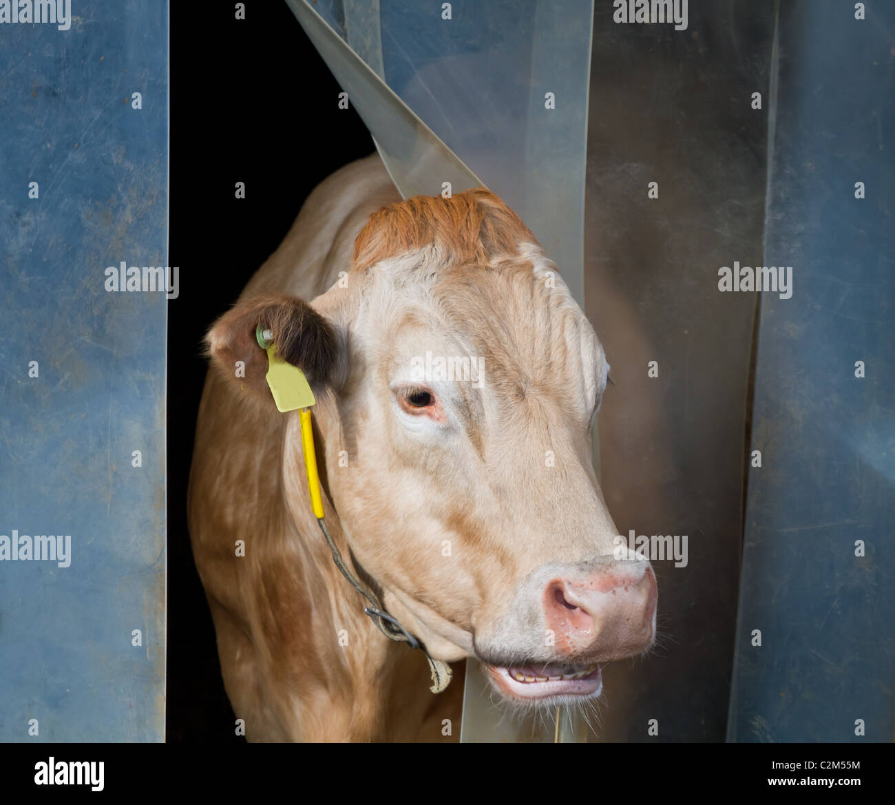 Check raise hi-res stock photography and images - Alamy