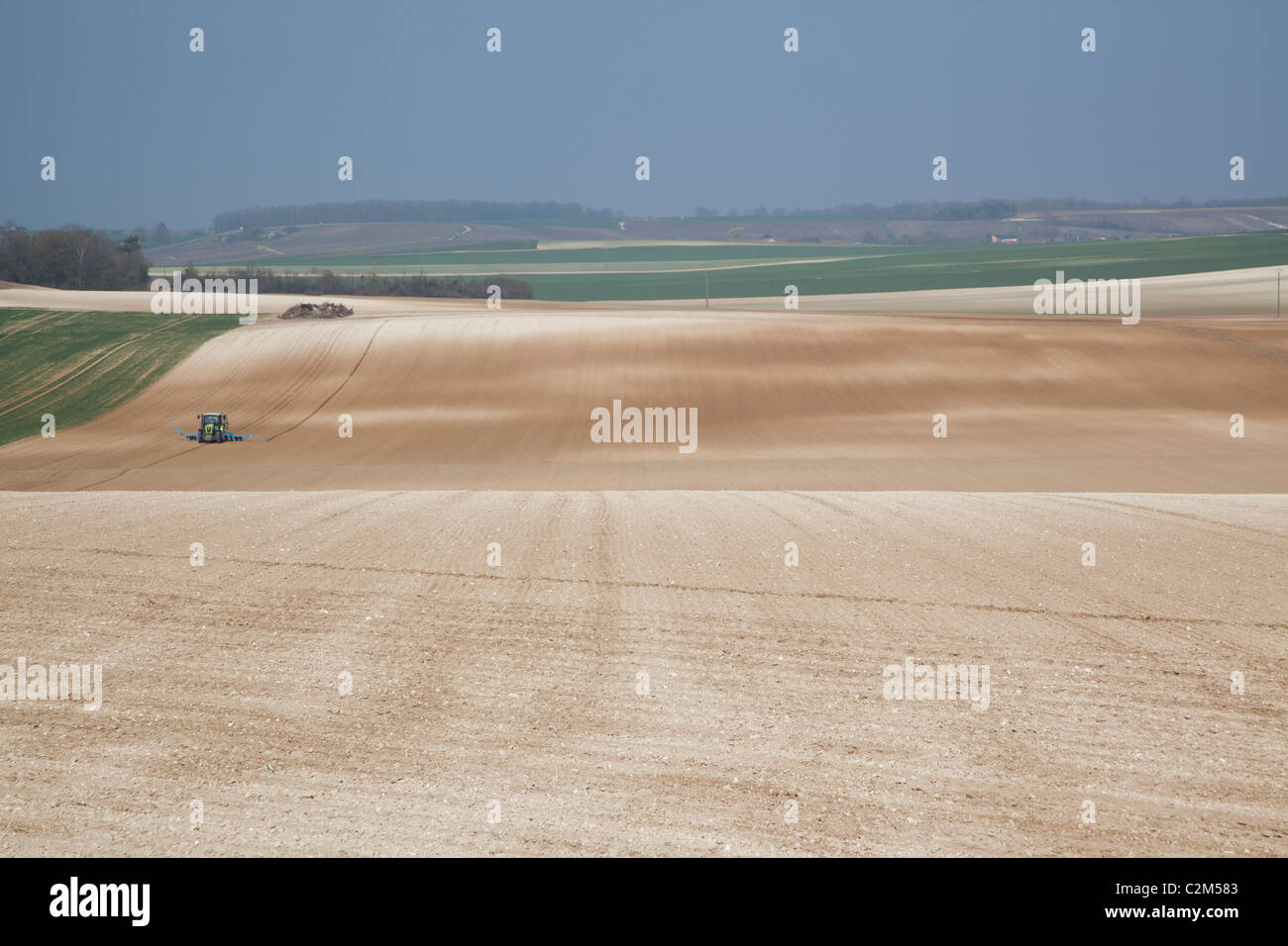 Agriculture in Marne region, France Stock Photo - Alamy