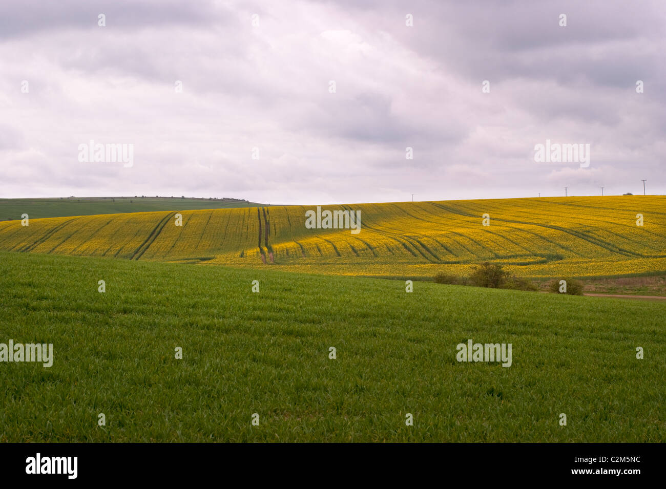 A spring scene of the Wiltshire countryside Stock Photo - Alamy