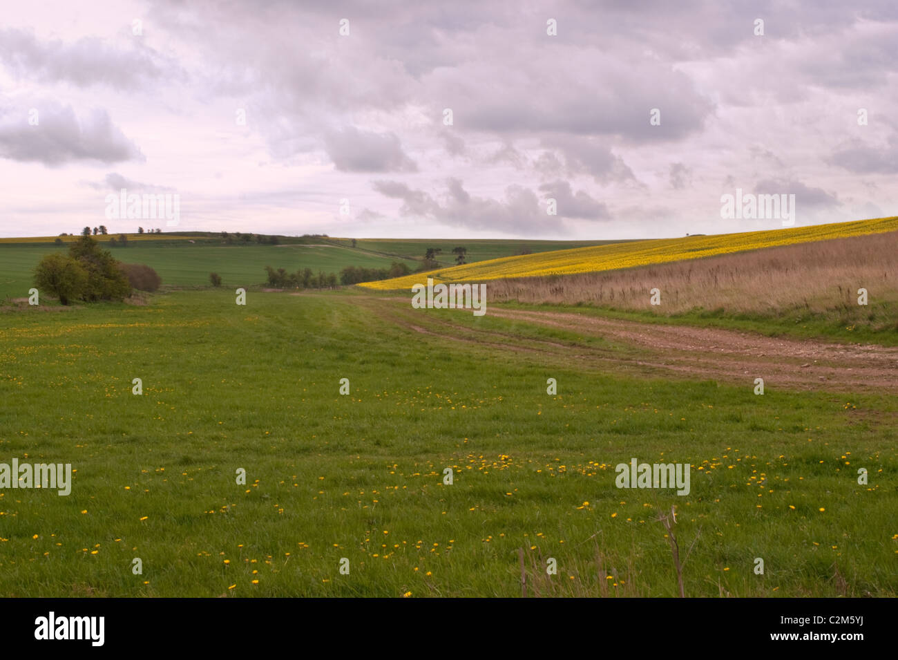 A spring scene of the Wiltshire countryside Stock Photo - Alamy