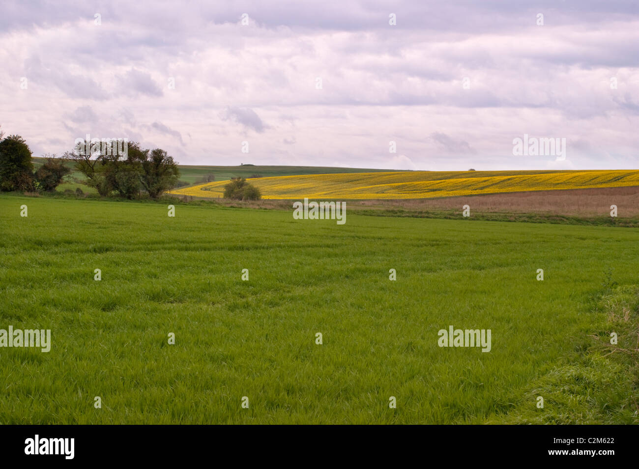 A spring scene of the Wiltshire countryside Stock Photo - Alamy