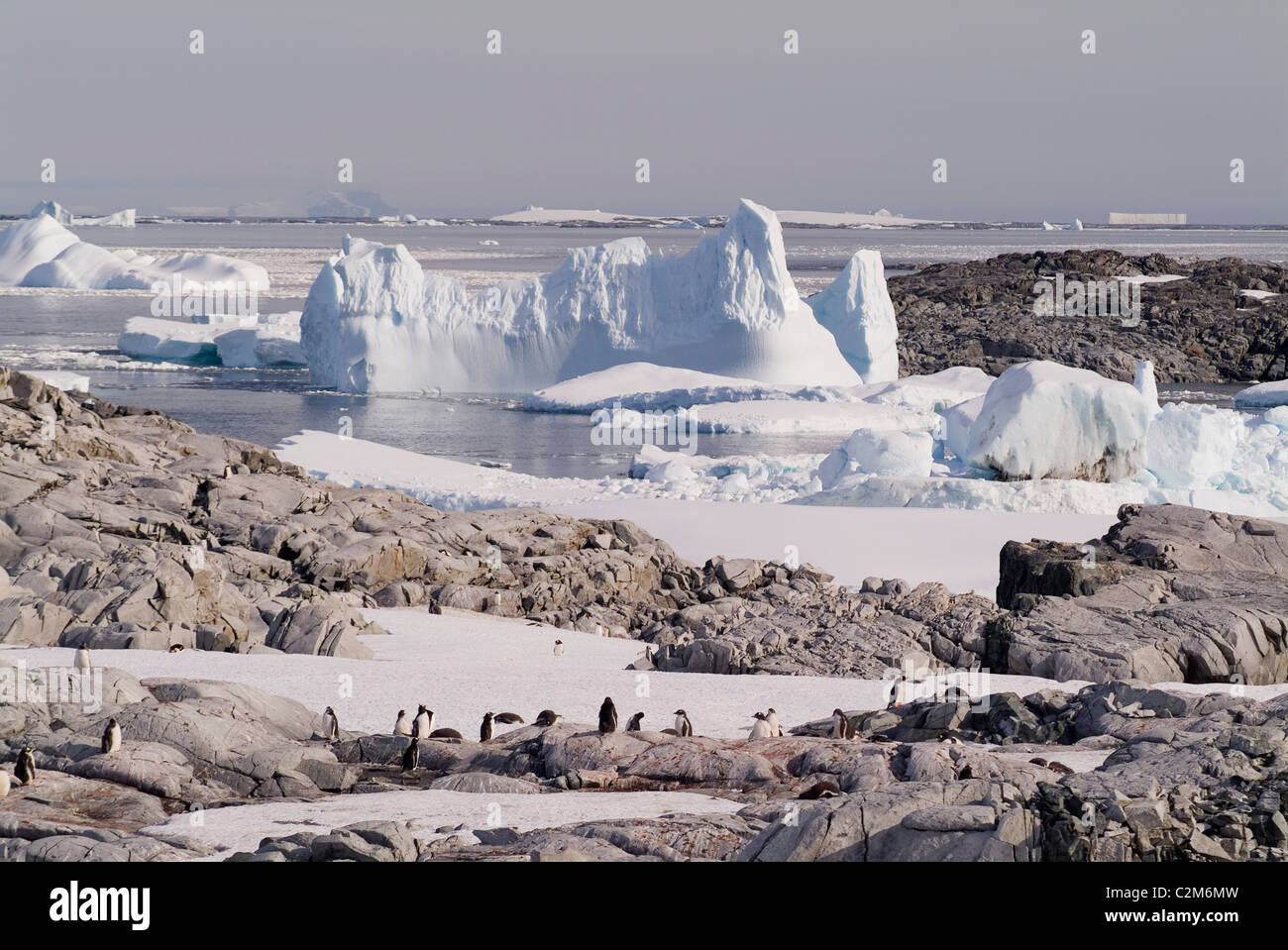 Peterman hi-res stock photography and images - Alamy