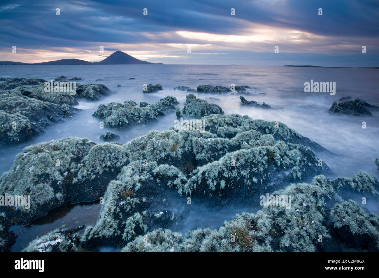 Lichen On Rock Rocks High Resolution Stock Photography and Images - Alamy