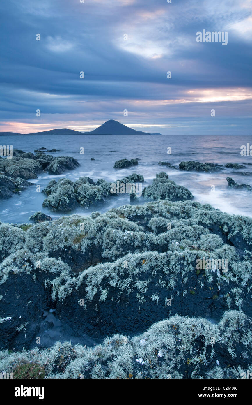 Lichen On Rock Rocks High Resolution Stock Photography and Images - Alamy