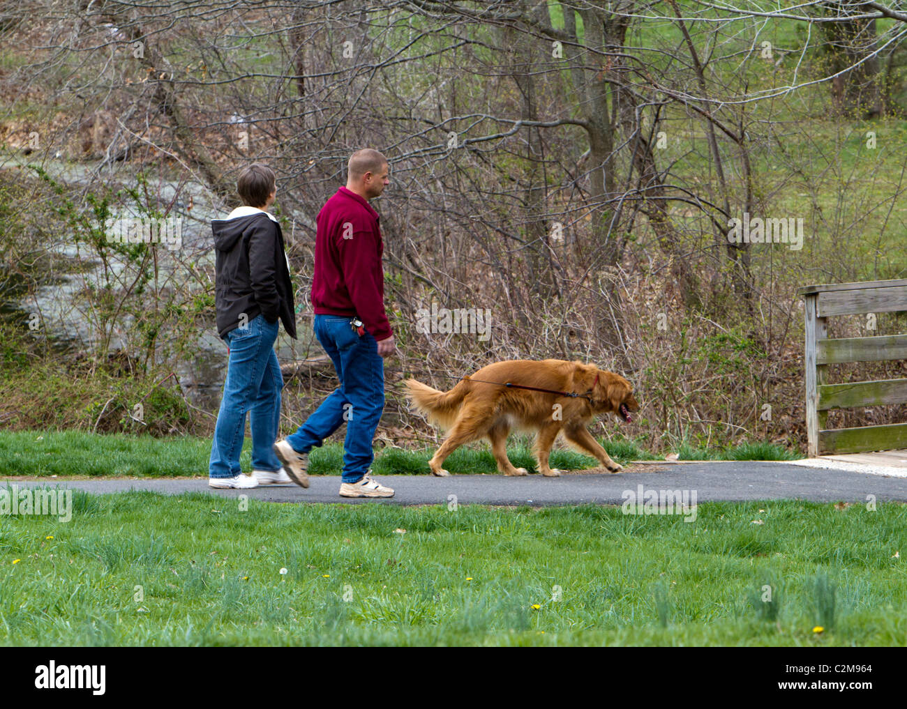 A man and boy walking a yellow dog in the park Stock Photo - Alamy
