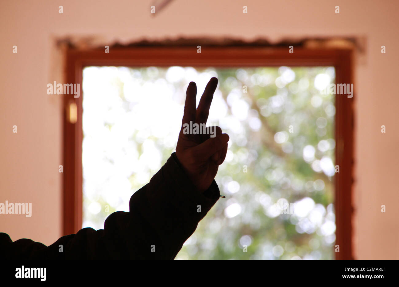 Peace Sign Arm High Resolution Stock Photography and Images - Alamy