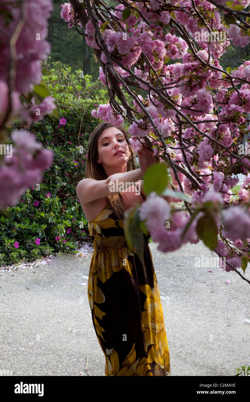 Pretty woman with a flowering tree Stock Photo - Alamy