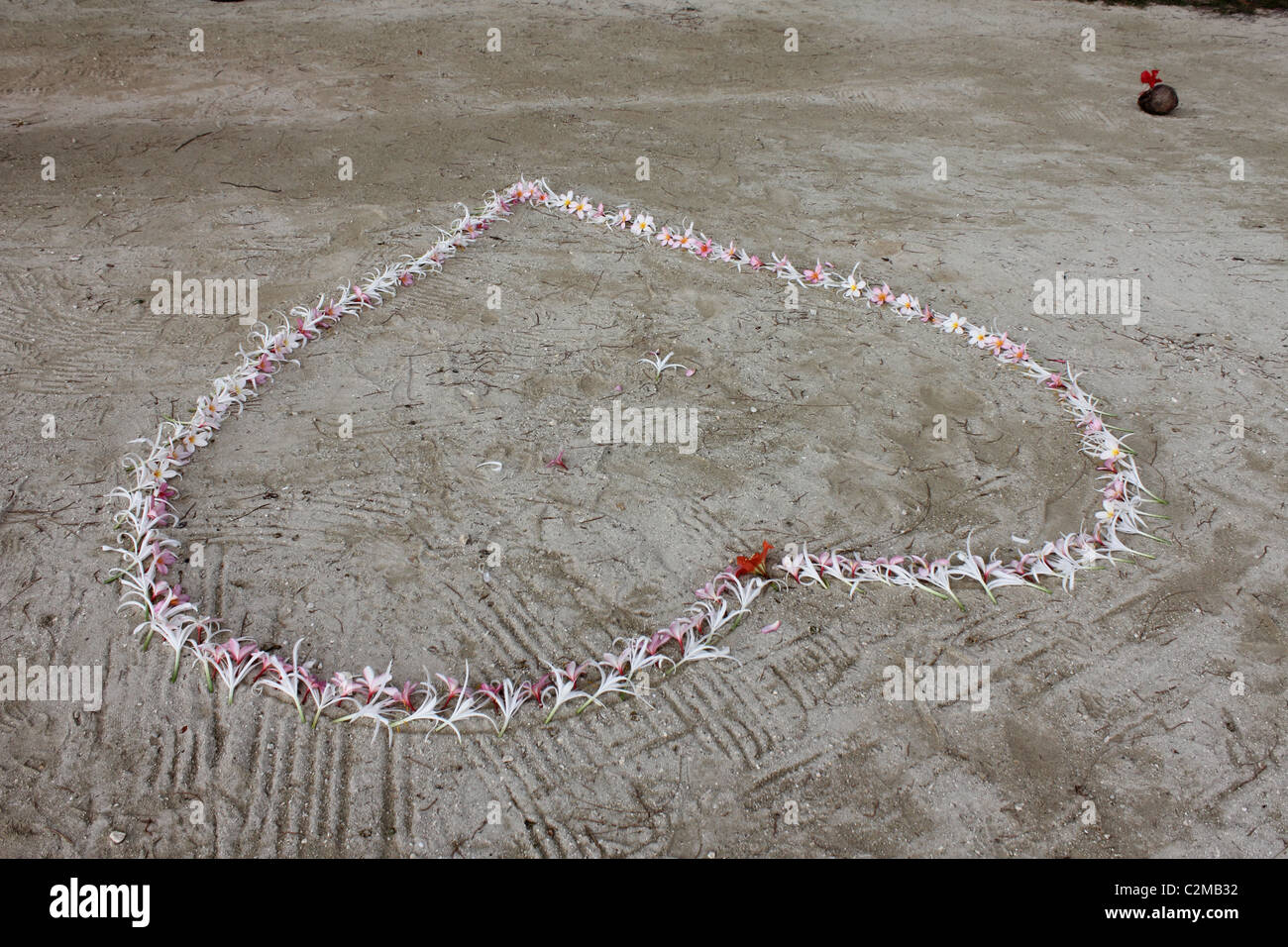 TROPICAL FLOWERS IN HEART SHAPE HORIZONTAL BDA Stock Photo - Alamy