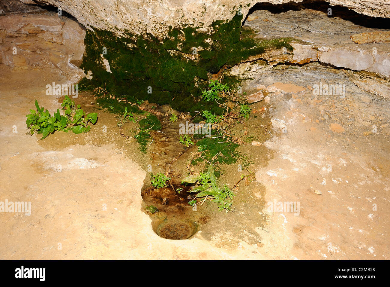 Water seep cliff hi-res stock photography and images - Alamy