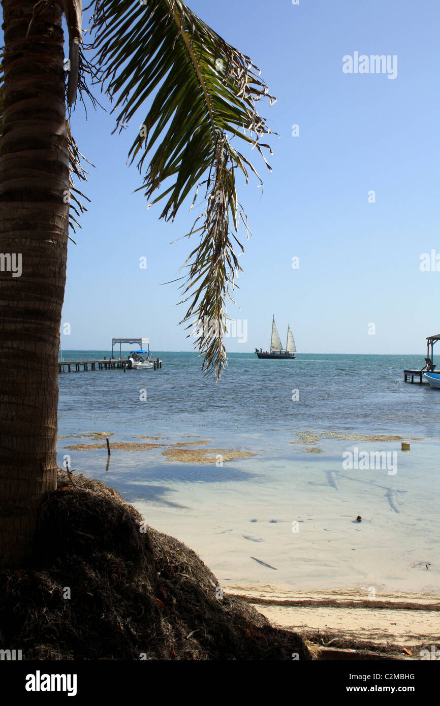 CAYE CAULKER NORTHERN CAYS BELIZE 24 February 2011 Stock Photo - Alamy