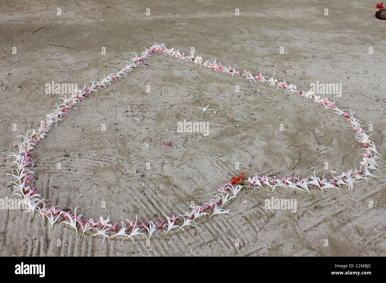 TROPICAL FLOWERS IN HEART SHAPE HORIZONTAL BDA Stock Photo - Alamy